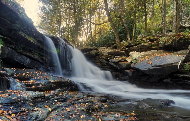 Riverbanks and watercourses to be planted with thousands of hectares of ...