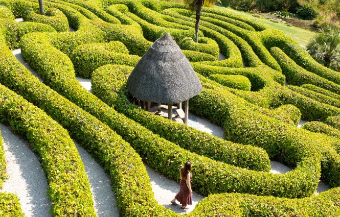 National Trust Glendurgan maze ready for another 200 years after major ...