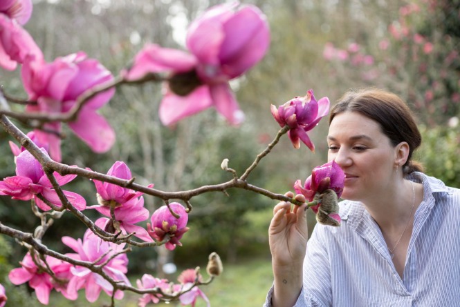 The Great Gardens of Cornwall: The Cornish spring story - Van Life Matters