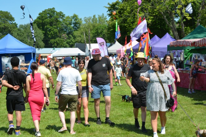 Review: Van Life Festival proves a crowd pleaser at West Midlands ...