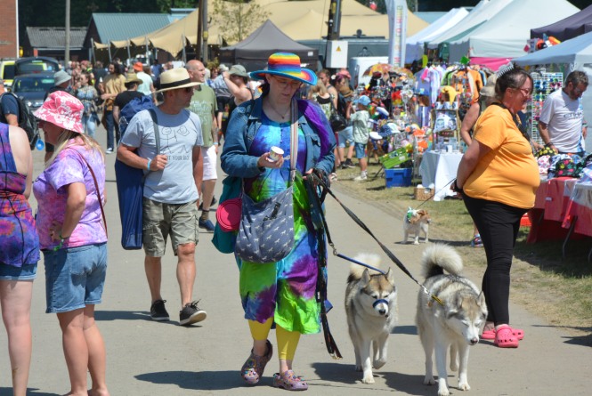 Review: Van Life Festival proves a crowd pleaser at West Midlands ...